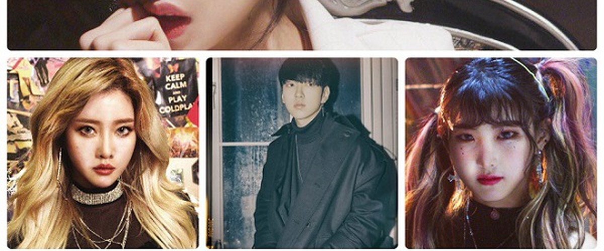 D.A.N Members Profile & Vote